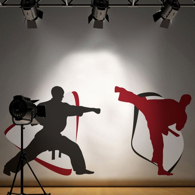 🥇 Vinyle adhésif murs karaté-do 🥇